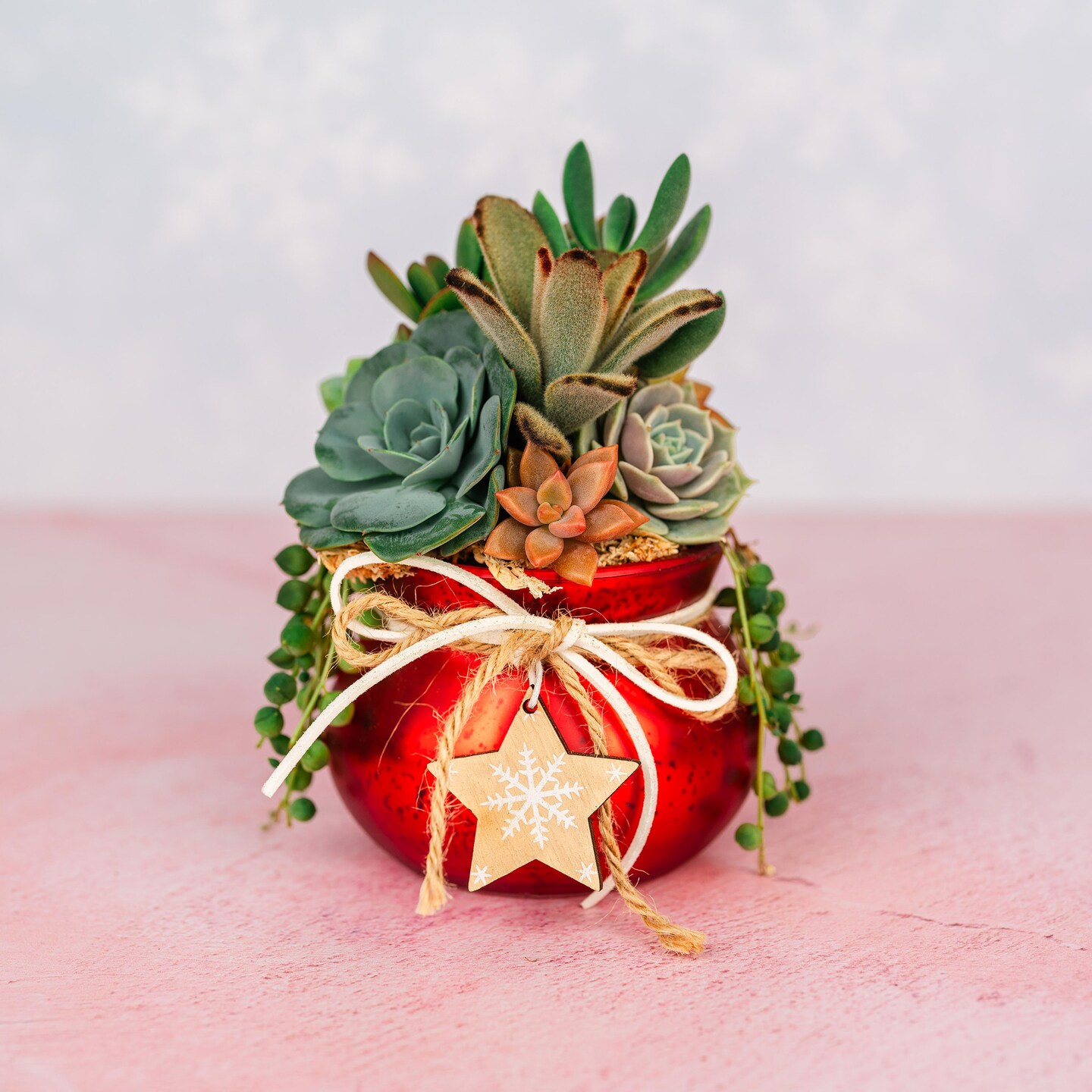 Red Mercury Glass Christmas Succulent Gift Arrangement with Rustic Wood Star MakerPlace by Michaels