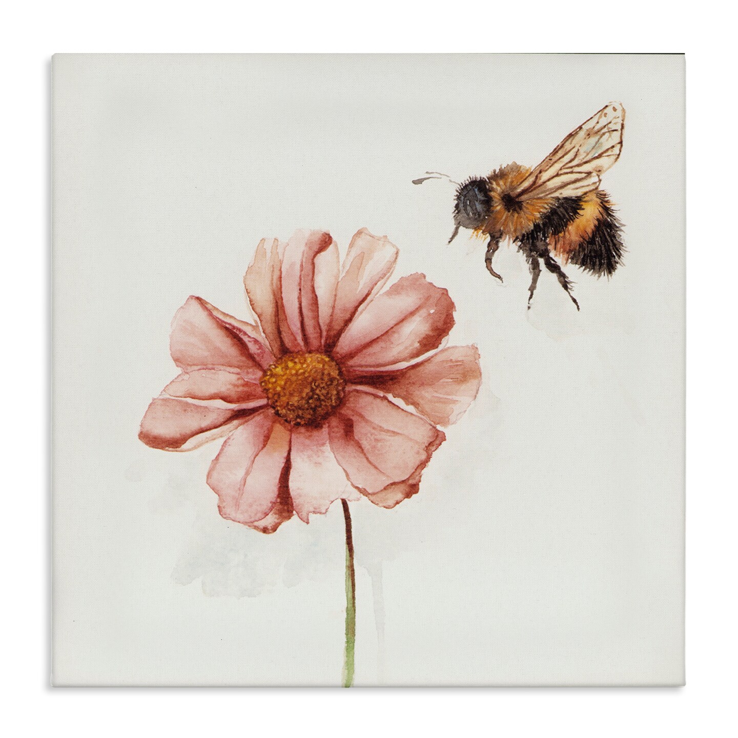 Stupell Industries Spring Pollination Bee Canvas, design by Cady Driver ...