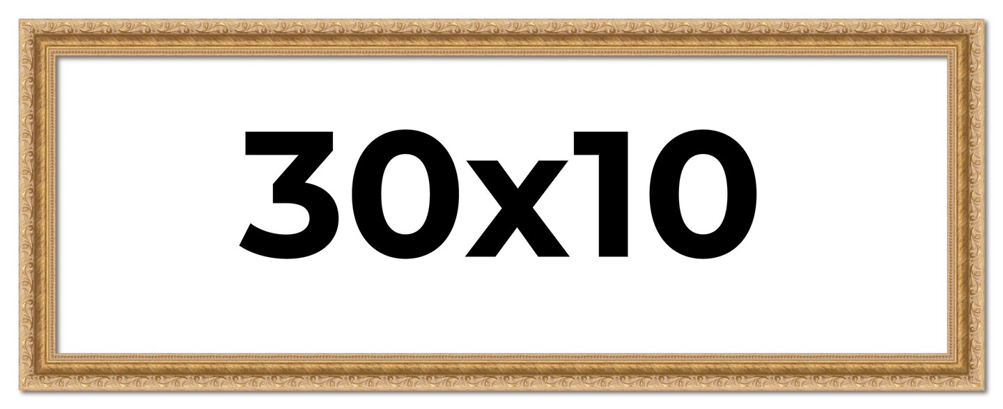 10x30 Refined Picture Frame with UV-Resistant Acrylic & Acid Free ...