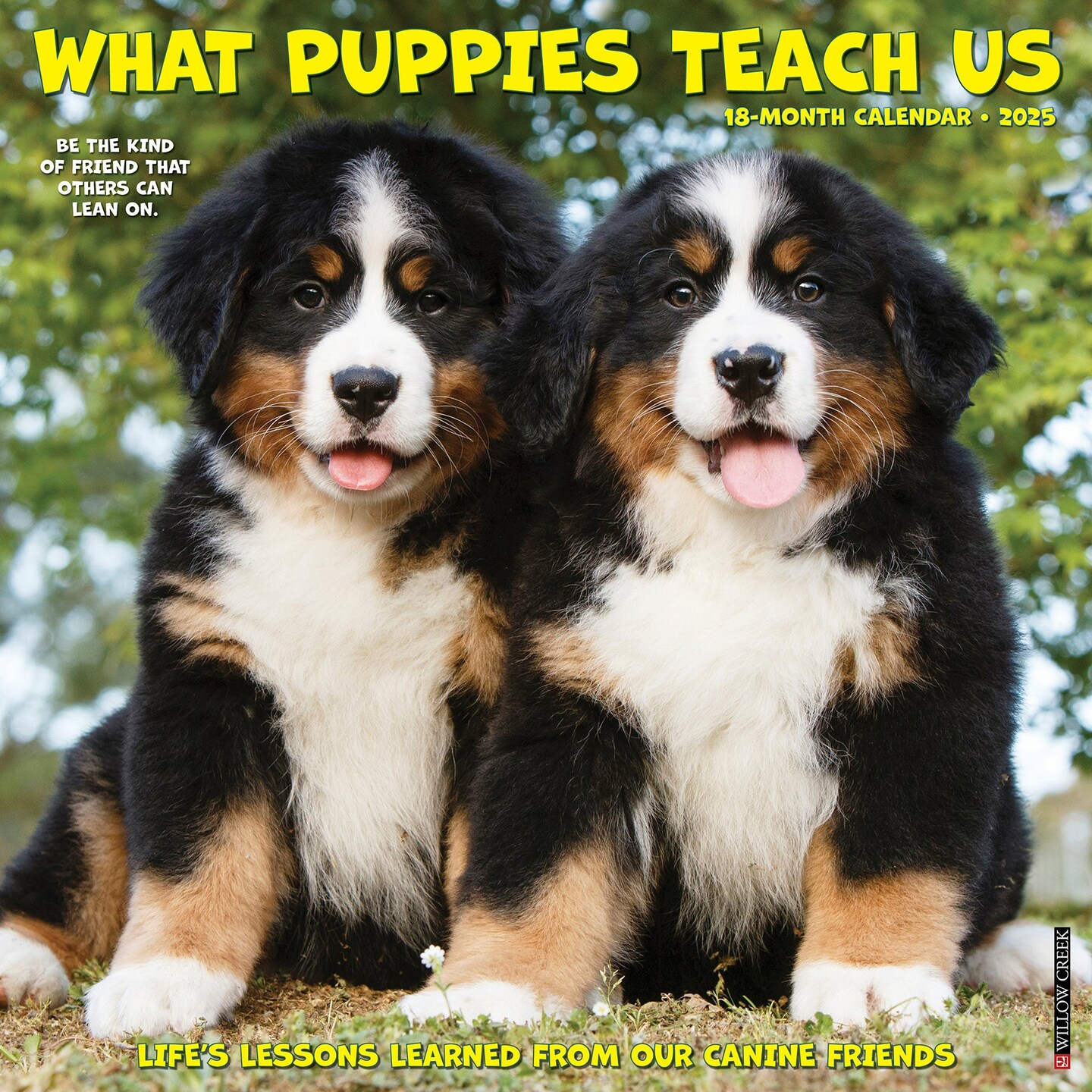 What Puppies Teach Us 2025 Wall Calendar | Michaels