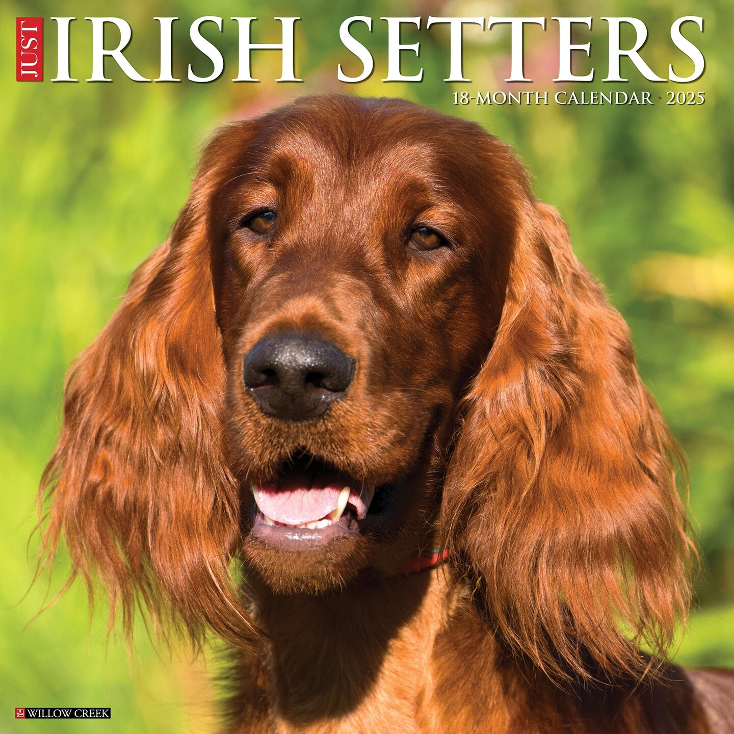 Irish Setters 2025 Wall Calendar | Michaels