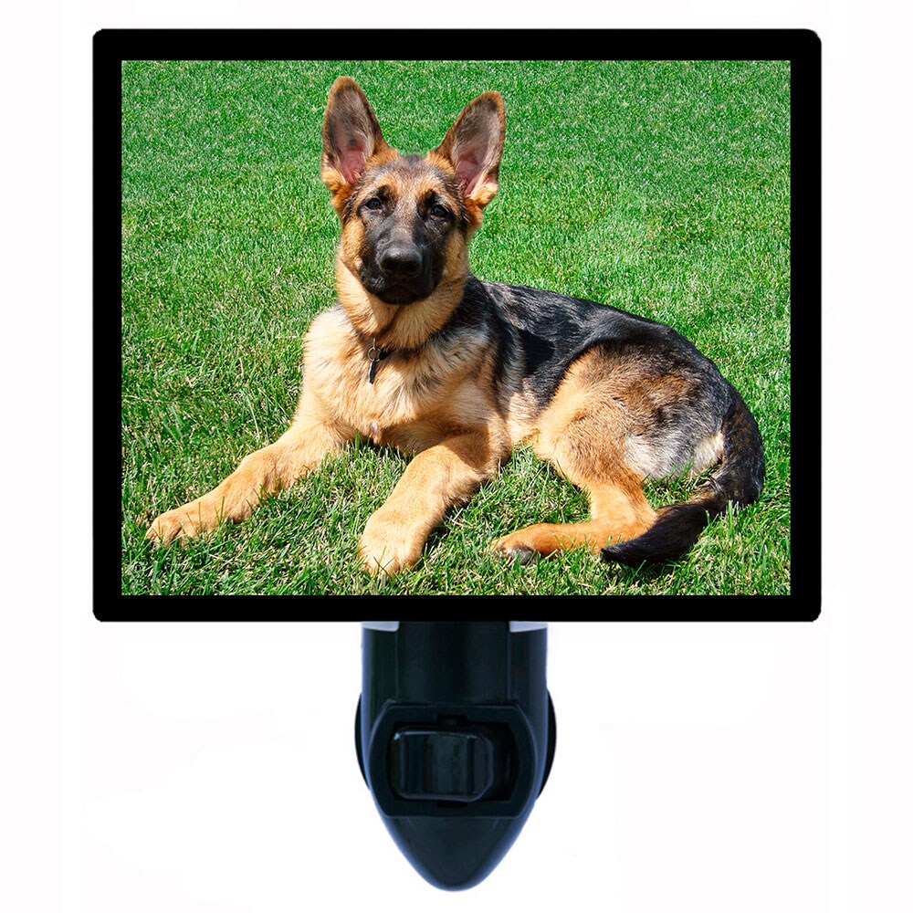 Night Light Plus Extra Free Switchable Insert, Photo Night Lights ...