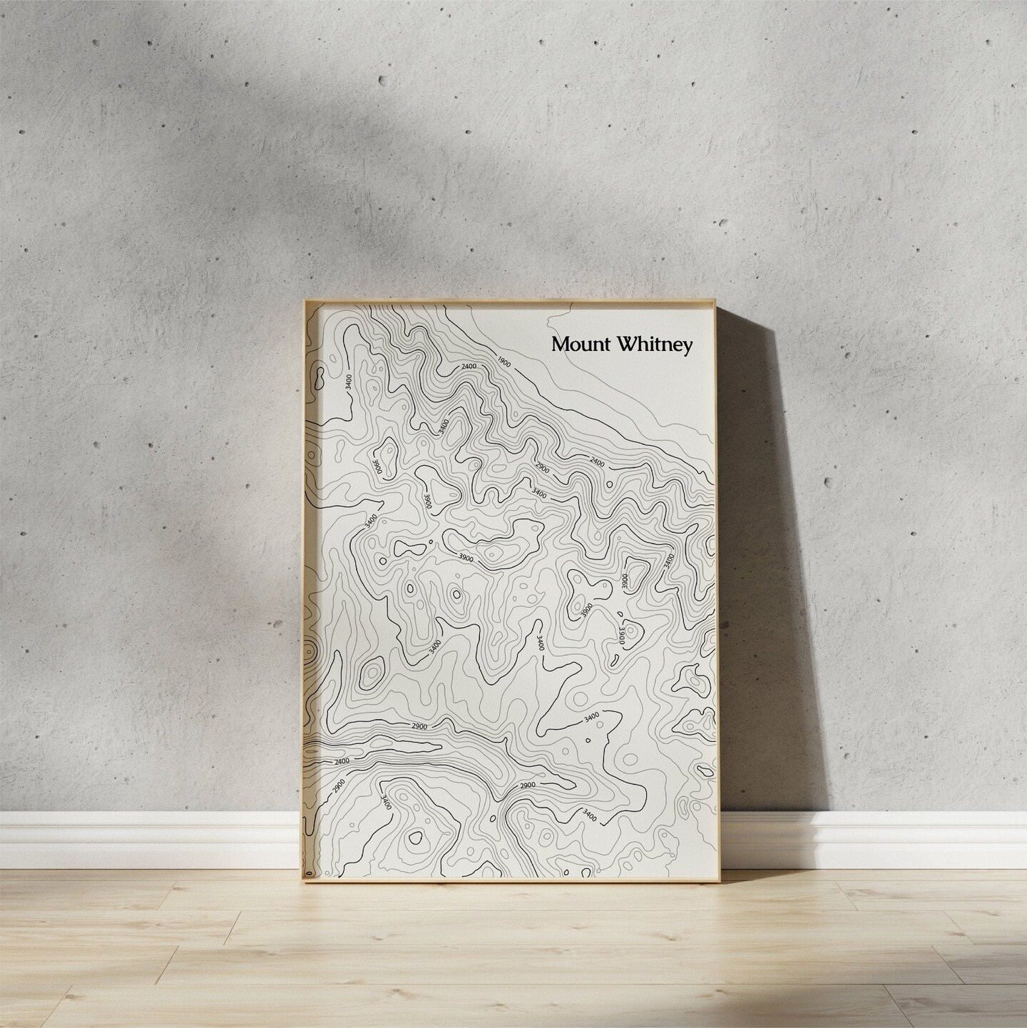 Mount Whitney Topographic Map Wall Art Kit | Michaels