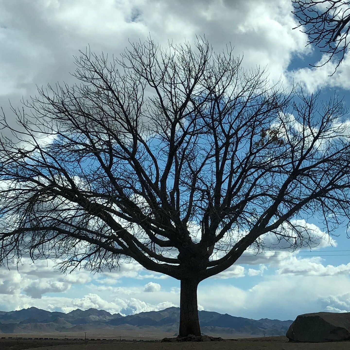 Shimmers Knotworks | Storefront | Michaels