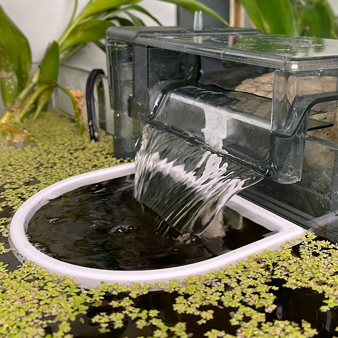 Tank Filter Corral Exclusion Zone | ALGAE-RESISTANT Floating Plant ...