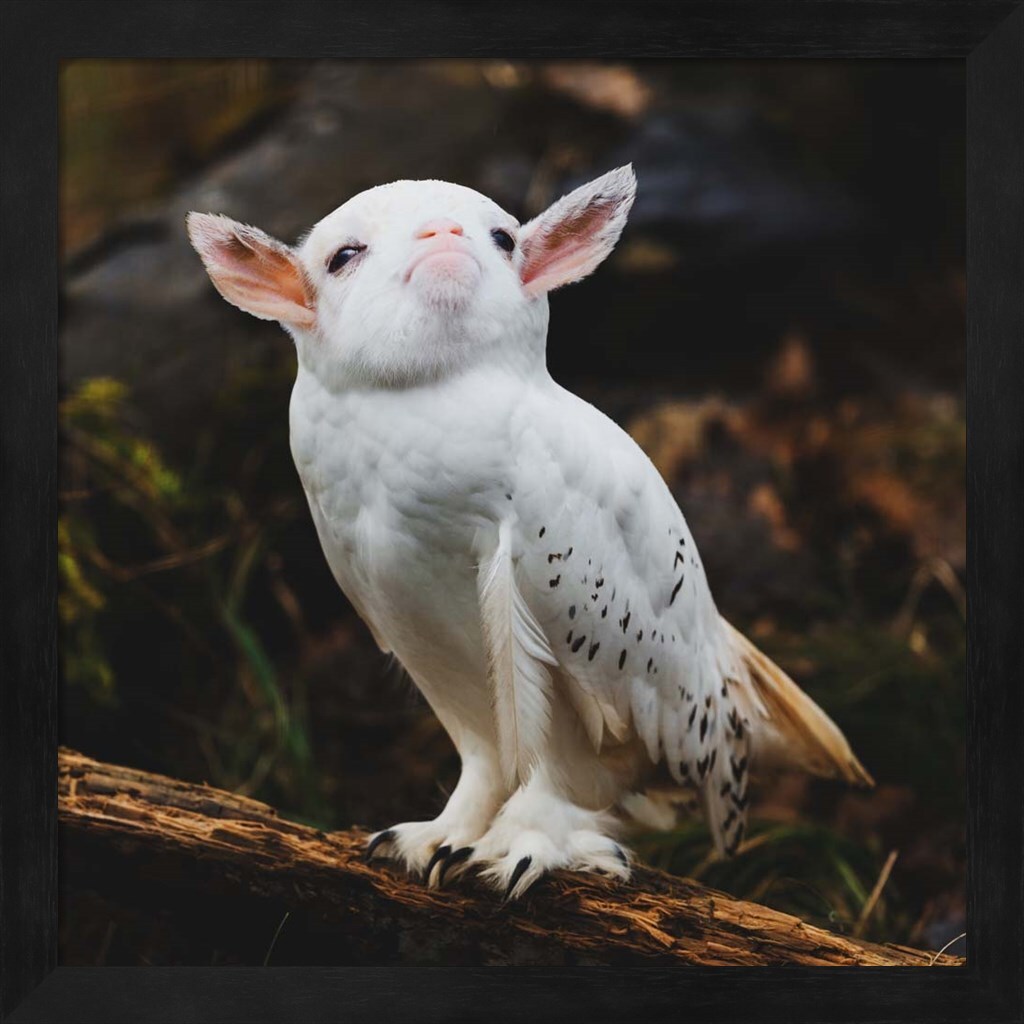 Racoonbird by Pixelmated Animals 13" x 13" Framed Wall Art | Michaels