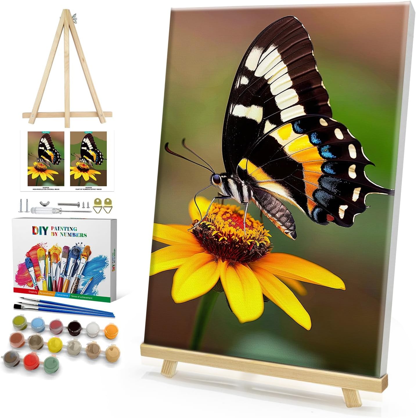 Framed Paint by Numbers Kit for Adults, Butterfly Paint by Numbers Kit ...