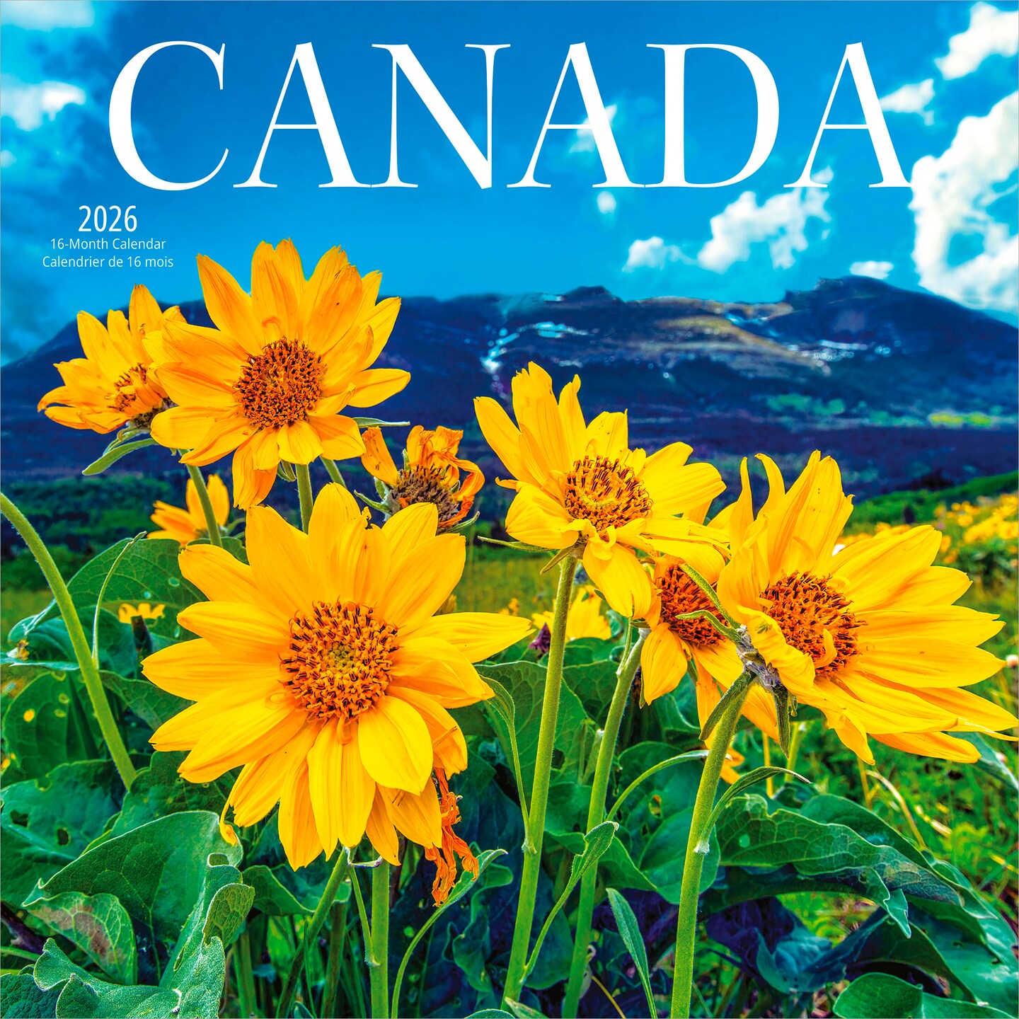 Canada | 2026 12 x 24 Inch (Hanging) Monthly Square Wall Calendar ...