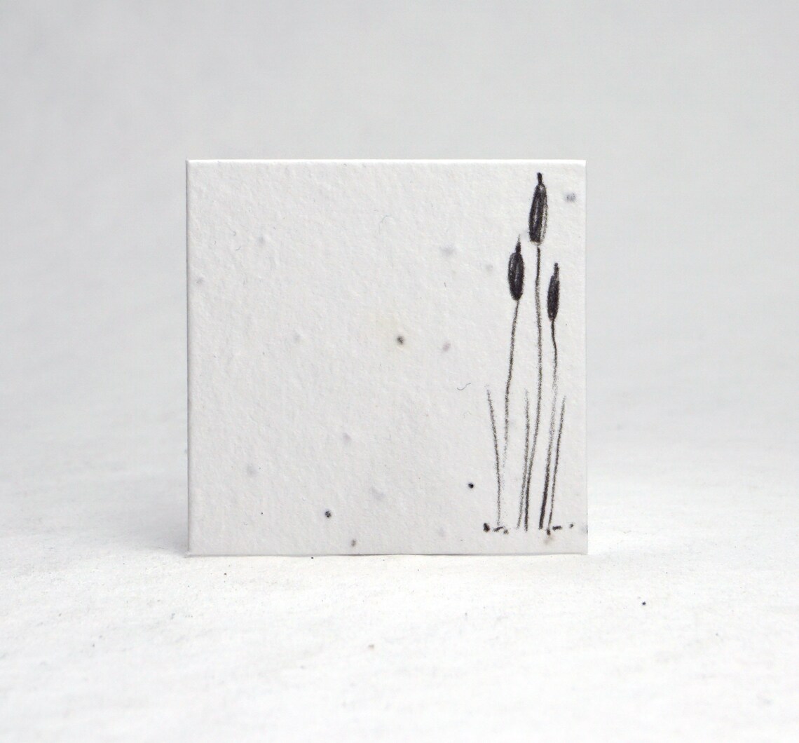 Wildflower Seed Paper Large Squares - Minimalist Print Variations ...