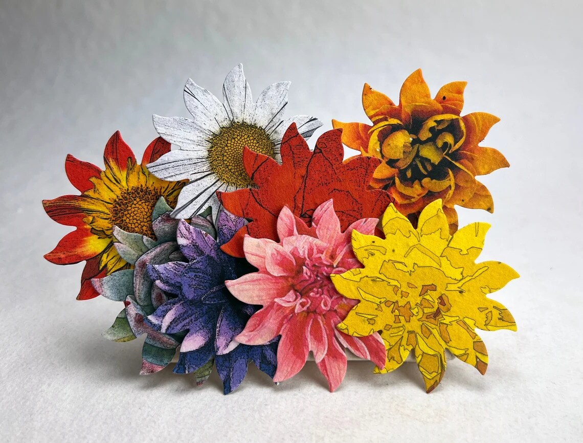 Wildflower Seed Paper Flower Shapes - Flower Photography Art Variations ...