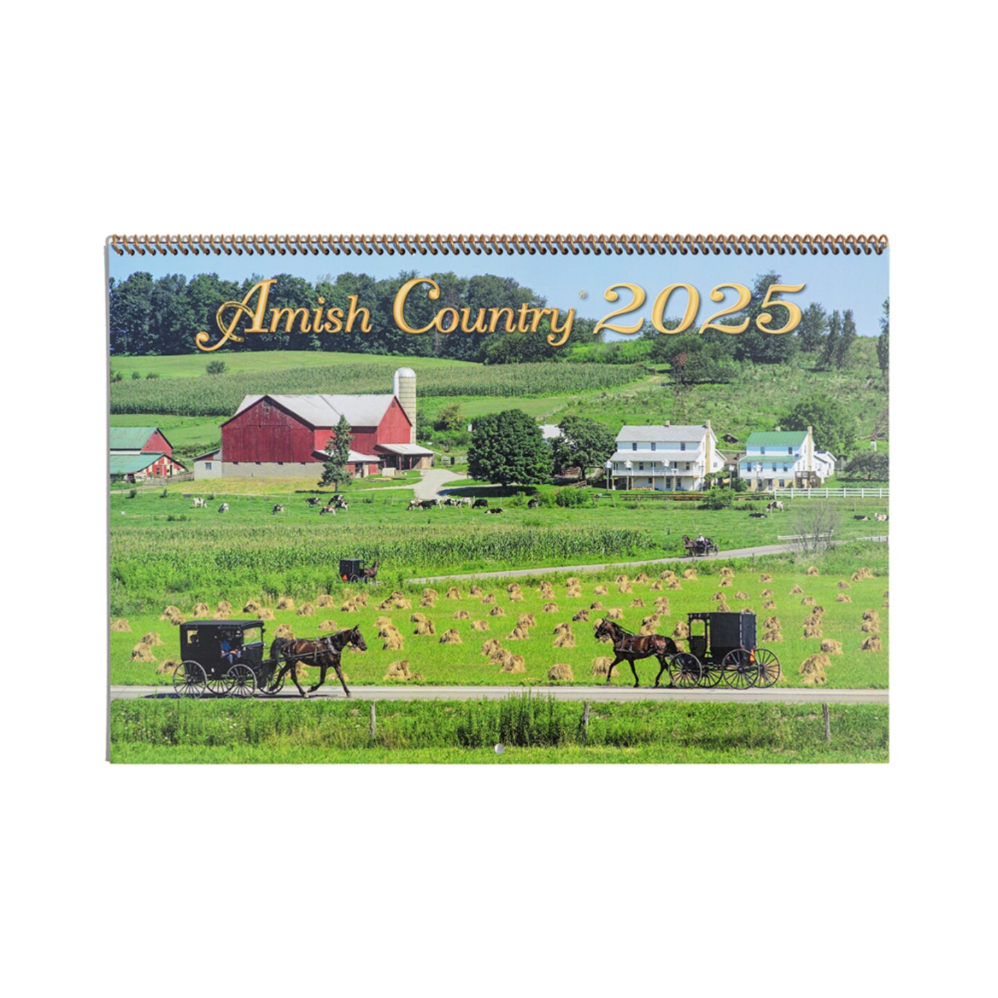 Doyle Yoder The Big Amish Country 2025 Calendar, 17 x 22 inch, Stunning ...