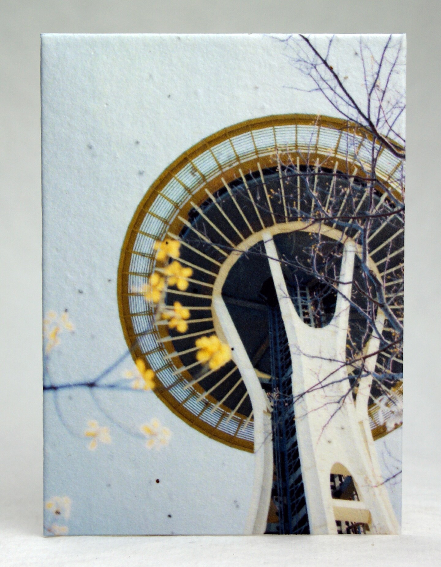 Wildflower Seed Paper Folding Card - Blank Seattle Variations - Set of ...