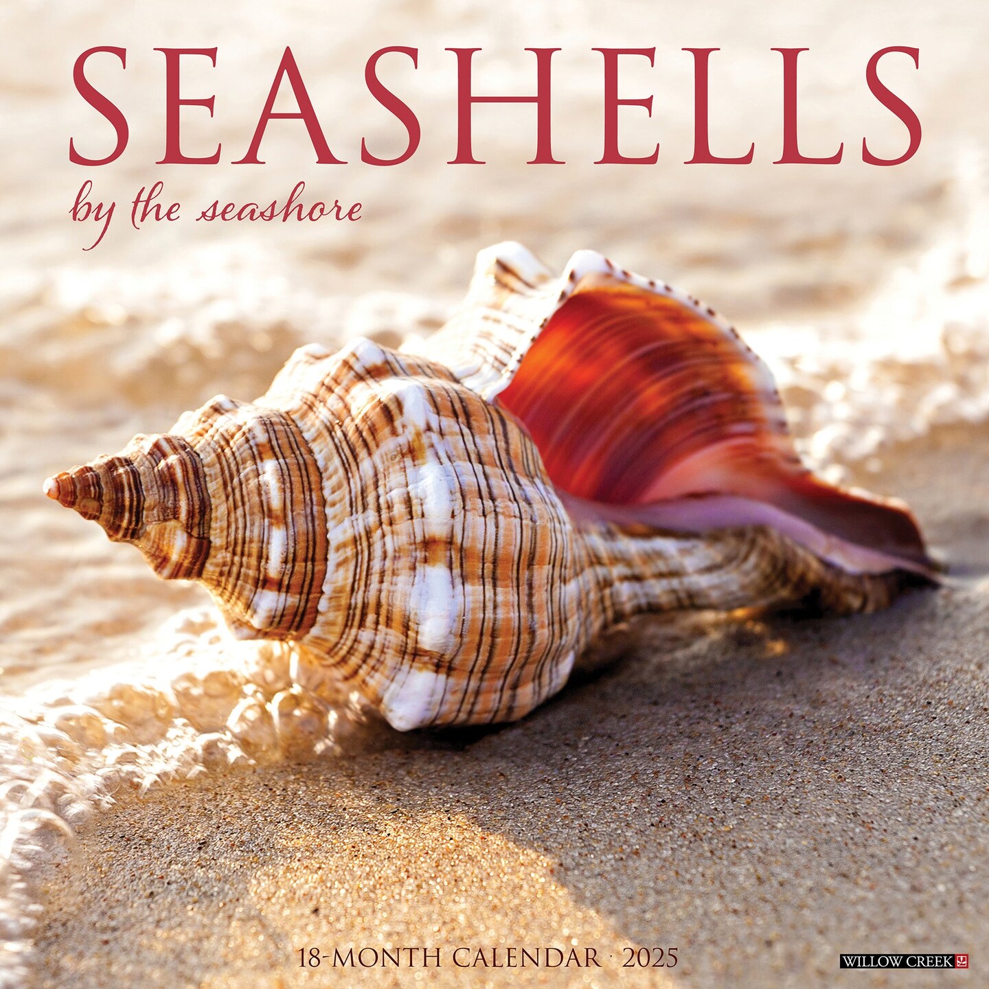 Seashells 2025 Wall Calendar | Michaels