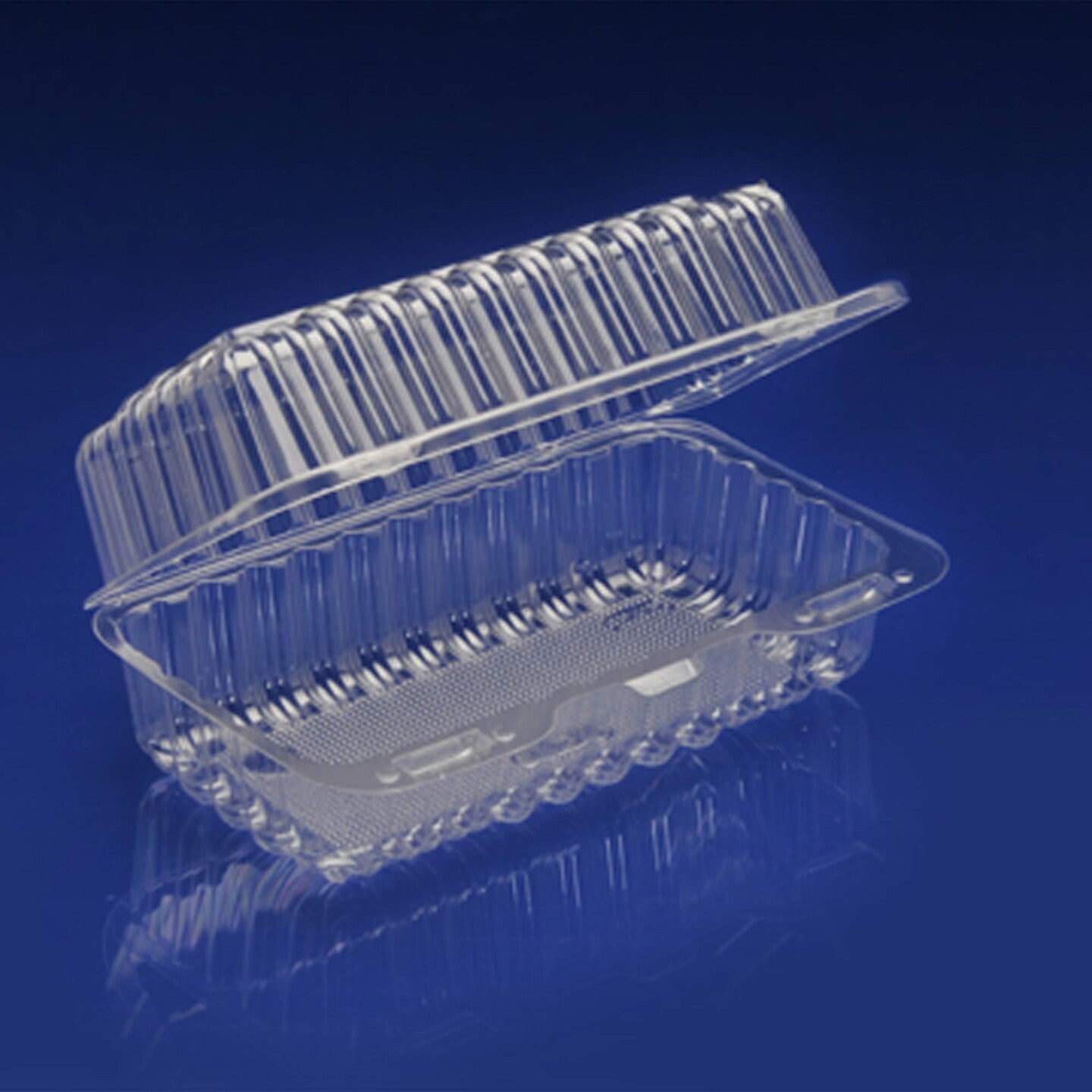 15 Count 7x4" Sol Pak Oblong Clear Hinged Container | Michaels