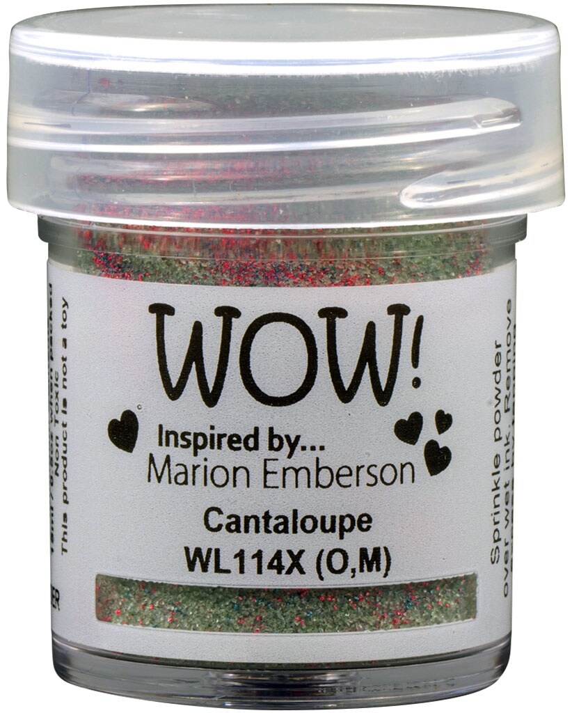 WOW! Embossing Powder 15ml | Michaels