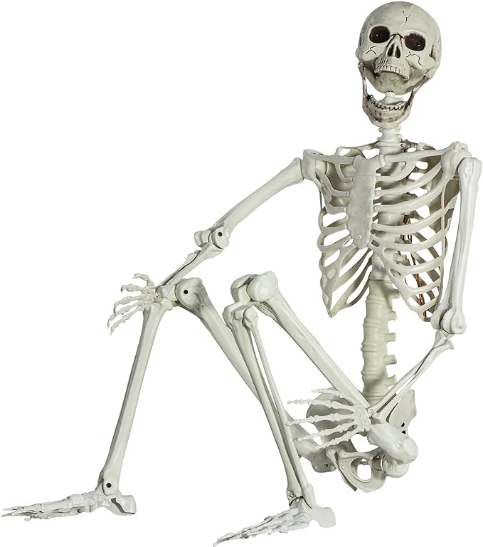 Full Body Life Size Skeleton with Movable Joints for Indoor Outdoor ...