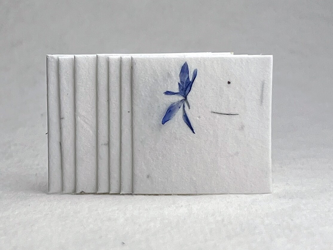 Wildflower Seed Paper Small Squares - Cotton Paper Embedded with Petals ...
