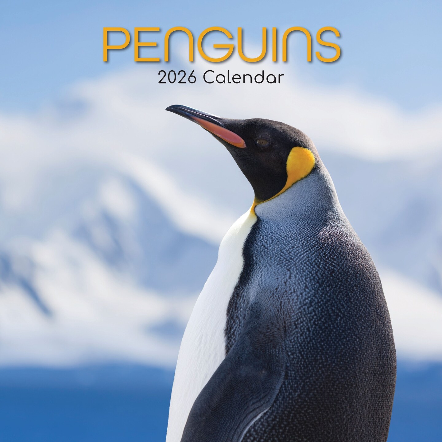 The Gifted Stationary 2026 Square Wall Calendar, Penguins 16-Month ...