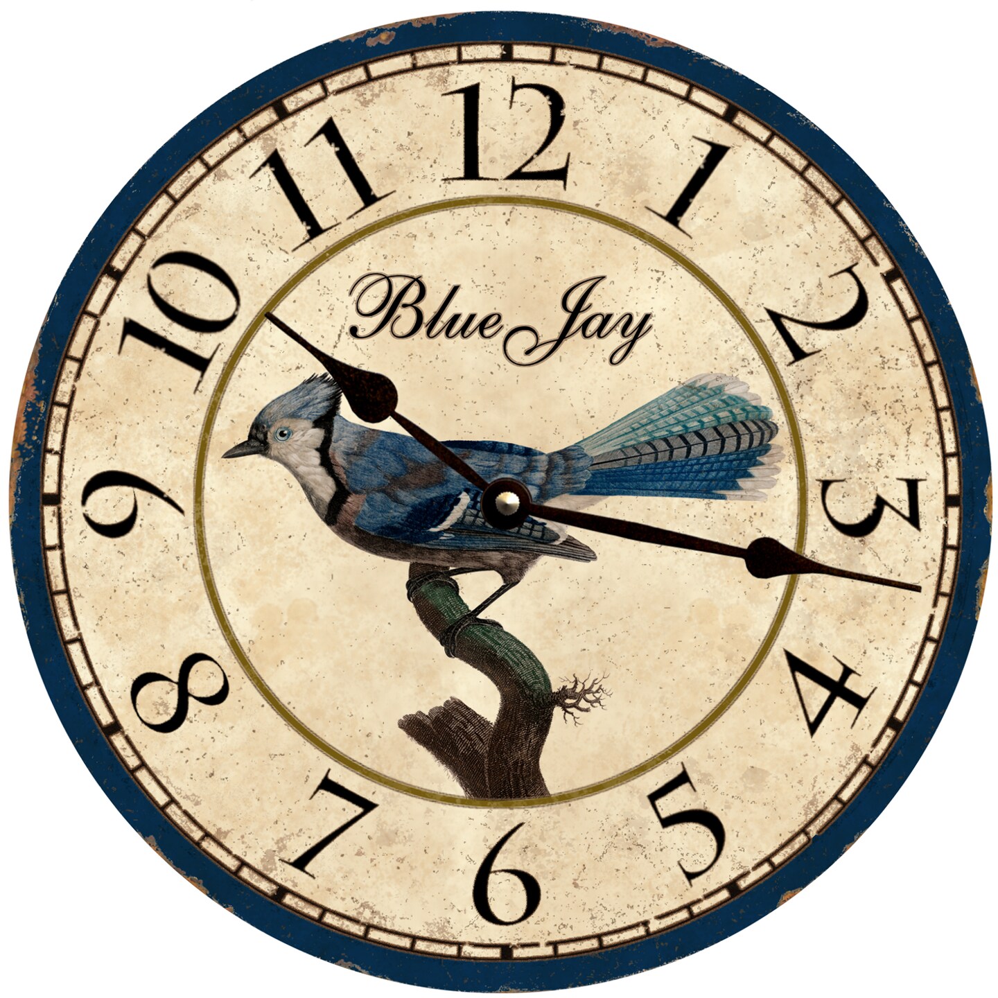 Blue Jay Wall Clock | MakerPlace by Michaels