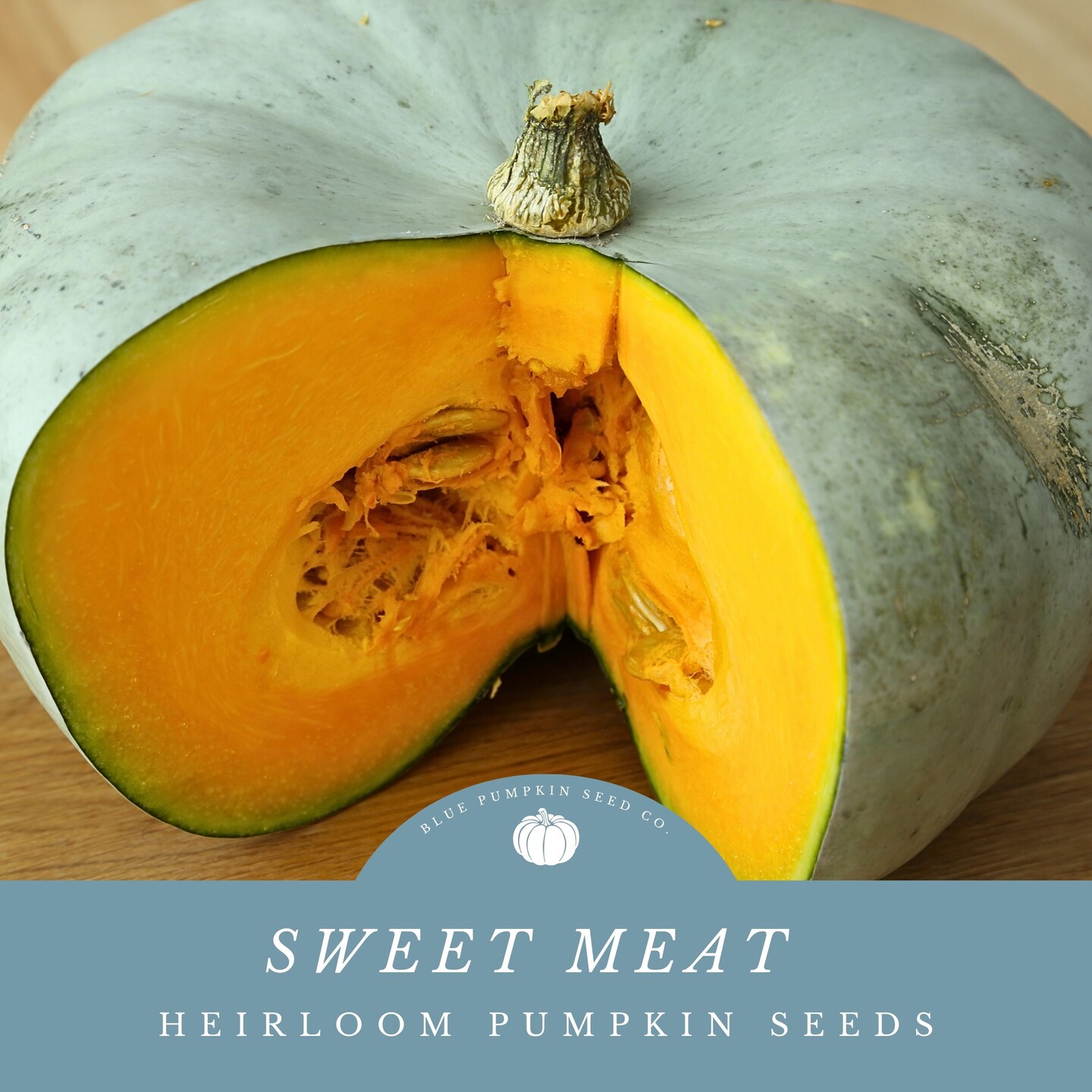 Sweet Meat Winter Squash seeds: Grow Blue Winter Squash With Thick ...