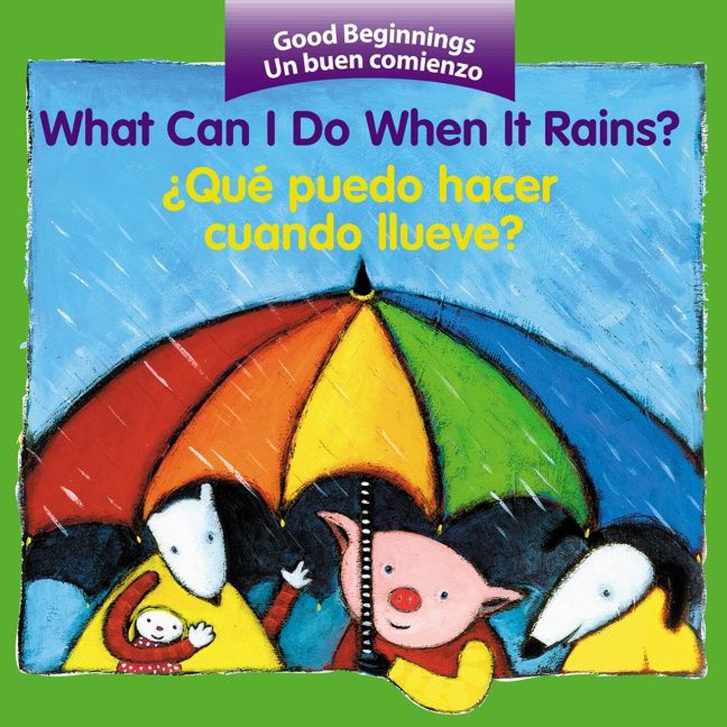 What Can I Do When it Rains?, ¿qué Puedo Hacer Cuando Llueve? Bilingual ...