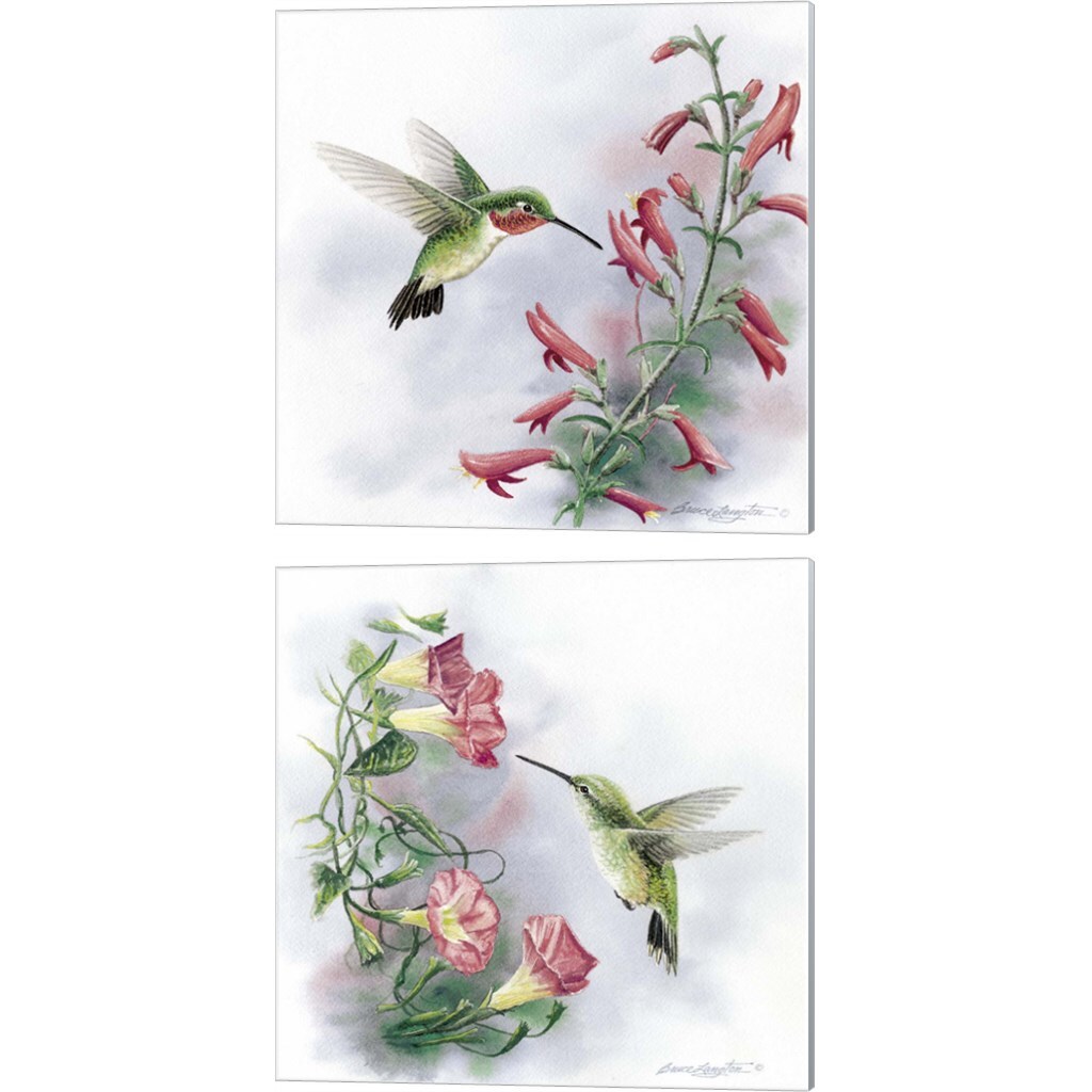 Harmony in Motion by Bruce Langton 14" x 14" Canvas Wall Art (Set of 2 ...