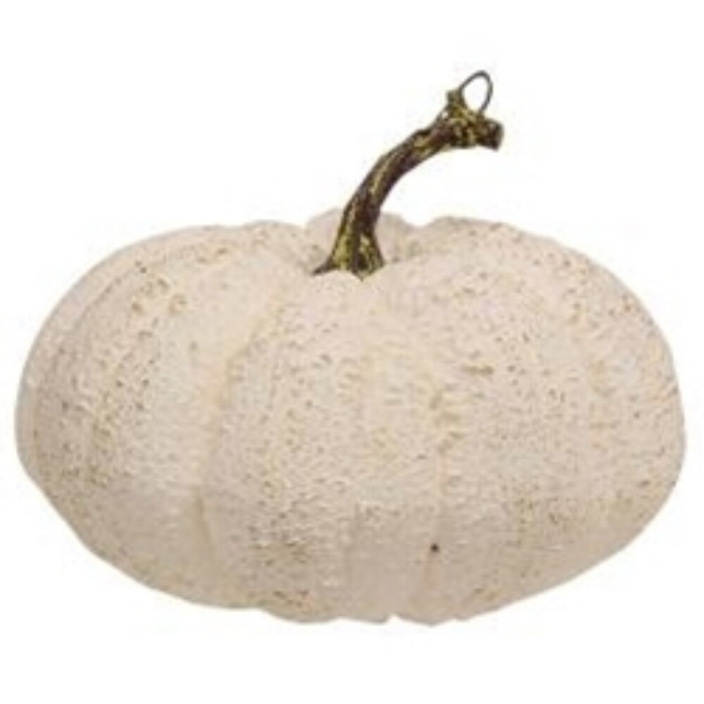 Round Full Moon Pumpkin | Michaels