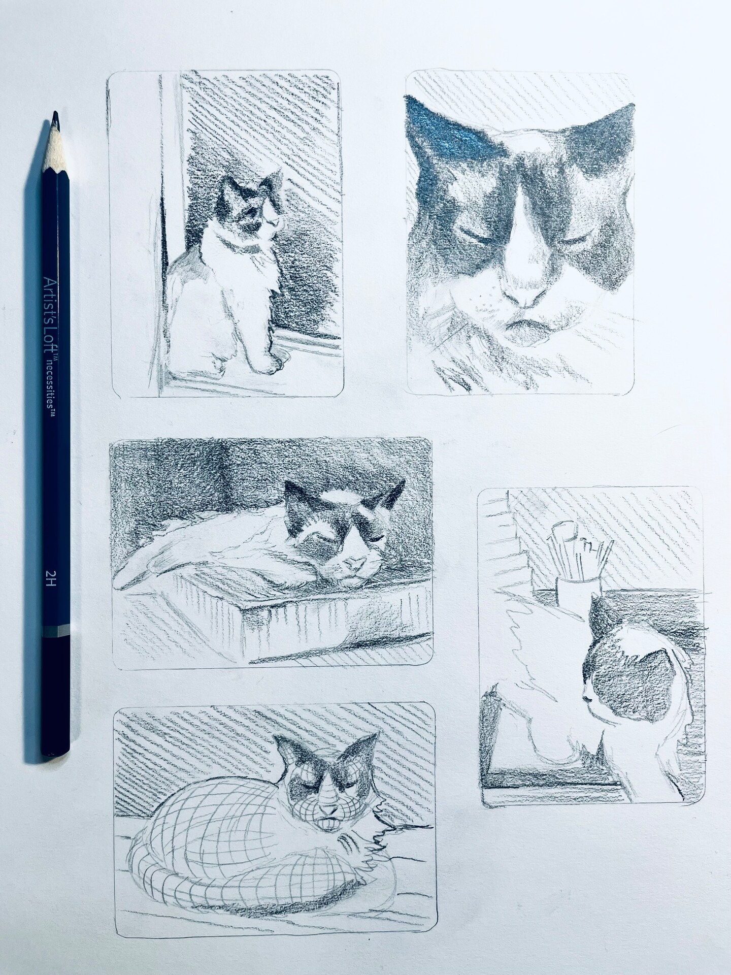 Pet Portrait Studies in Artist's Loft Graphite | Classes | Michaels