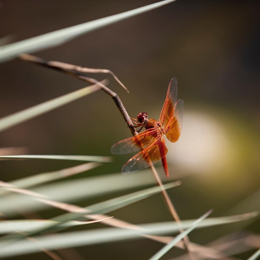 BP Creations | Storefront | Michaels