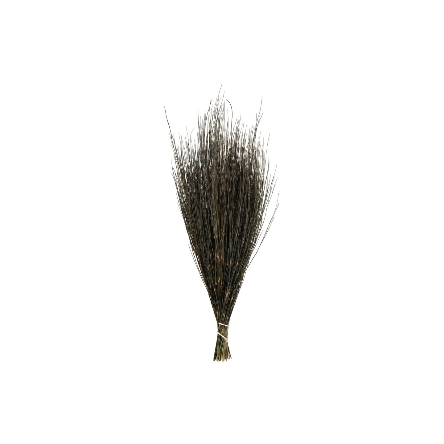 Vickerman 15-20" Natural Bell Male short 5 oz Preserved | Michaels