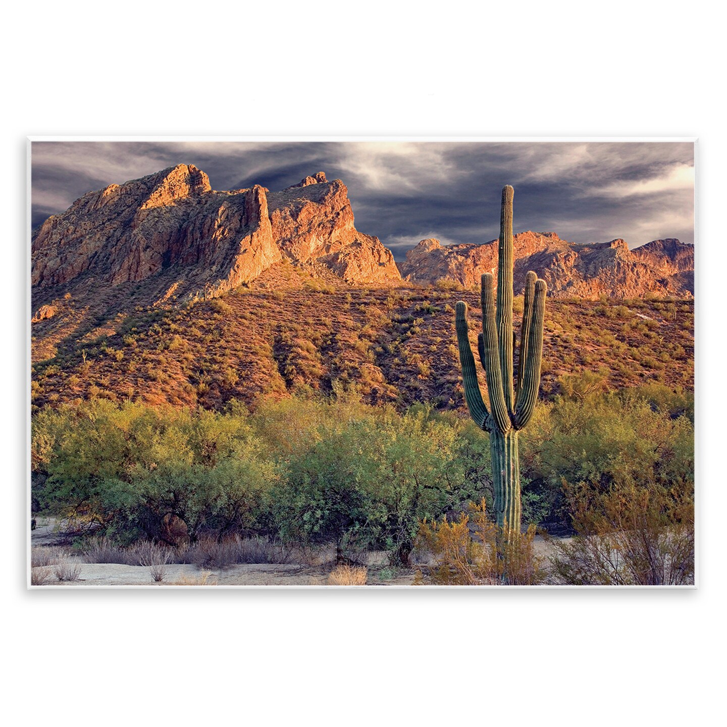 Stupell Industries Tall And Strong Cactus View Wall Plaque, design by ...