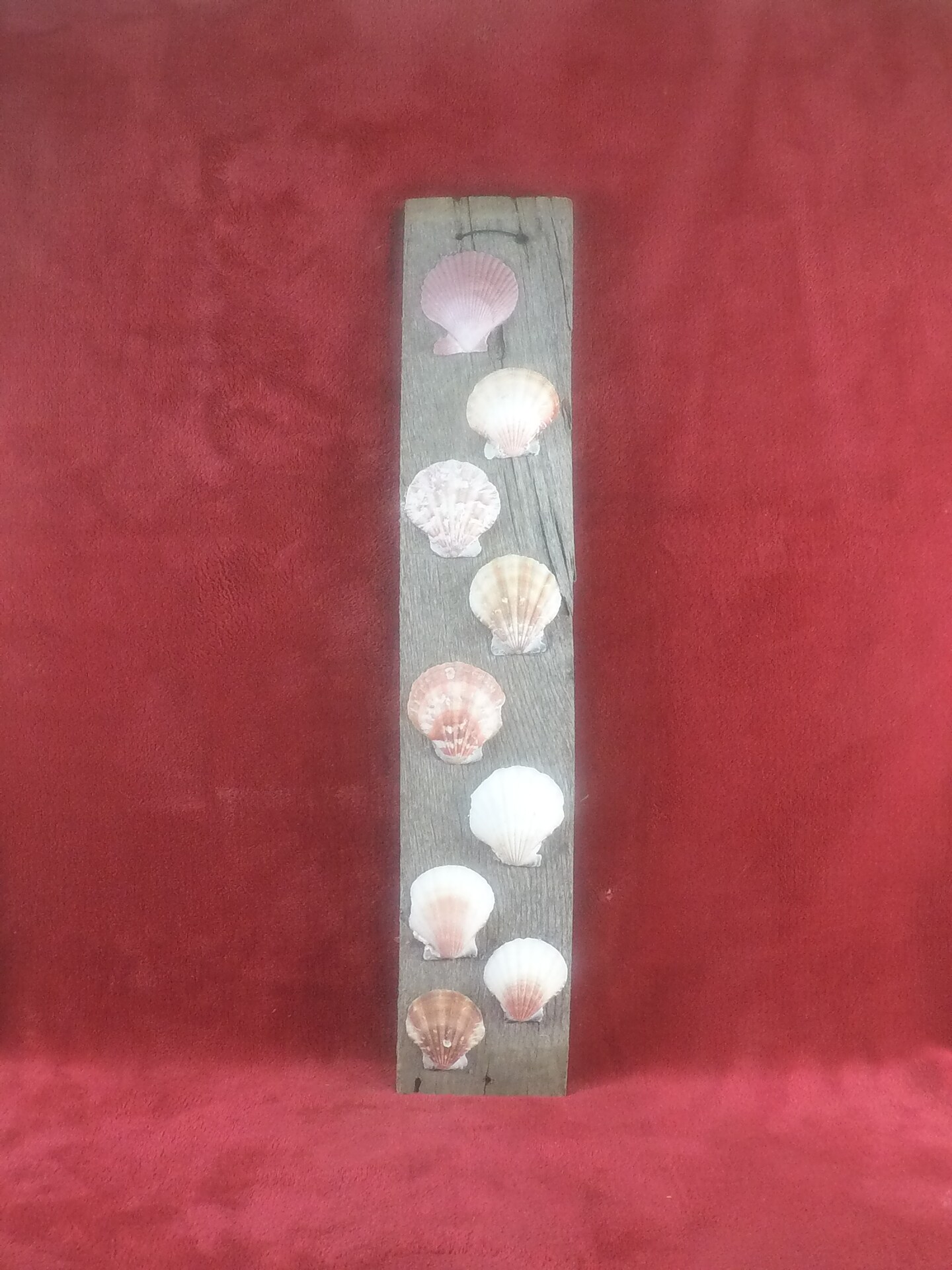 Hanging Sea Shell Wall Art | MakerPlace by Michaels