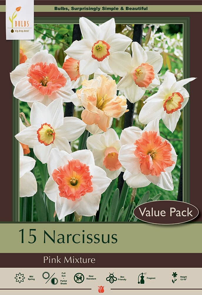 Pink Narcissus Mix 15 Bulbs - NEW - 14/16 cm Bulbs | Michaels
