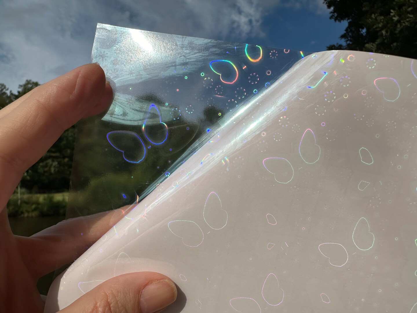 12 x 12 or 8.5 x 11 inch Sheet of Butterflies Pattern Holographic Clear ...