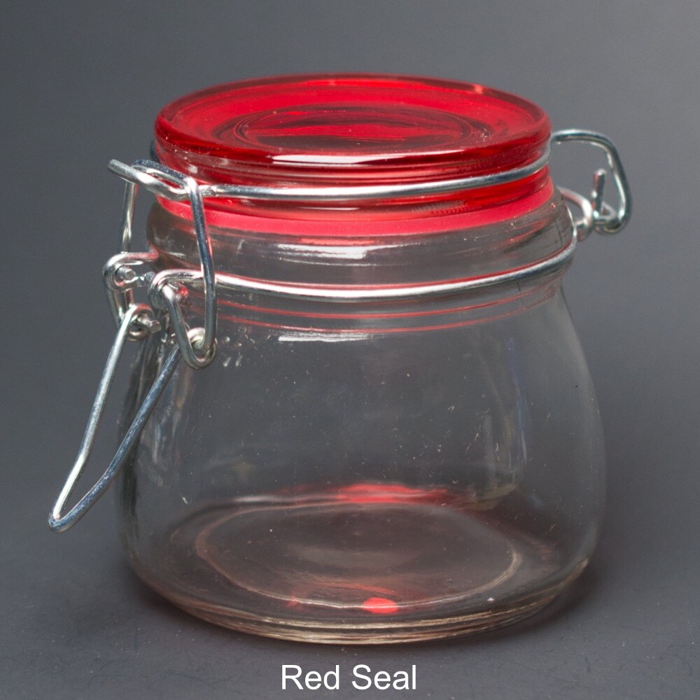 Glass Display Jar with Latch – 57116 | Michaels