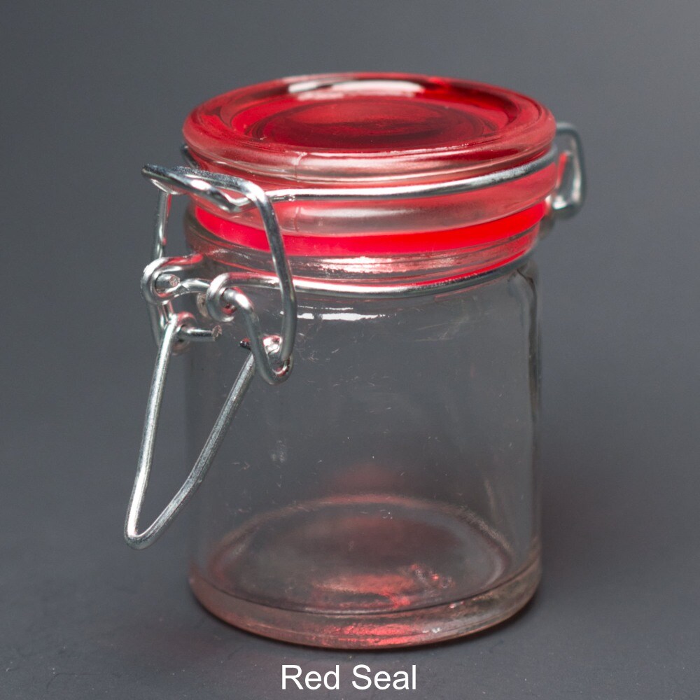 Glass Display Jar with Latch – 57111 | Michaels