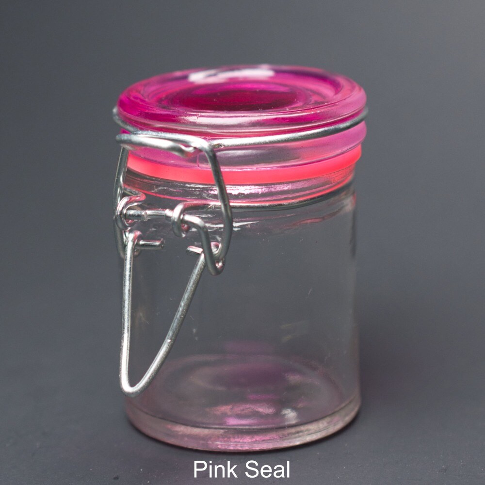 Glass Display Jar with Latch – 57111 | Michaels