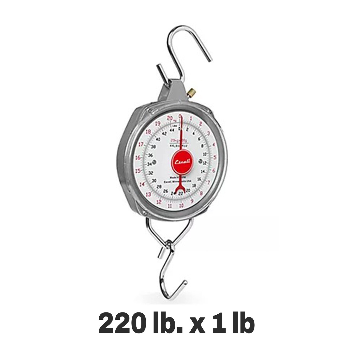 Heavy Duty Hanging Dial Scale 220 lbs Capacity | Michaels