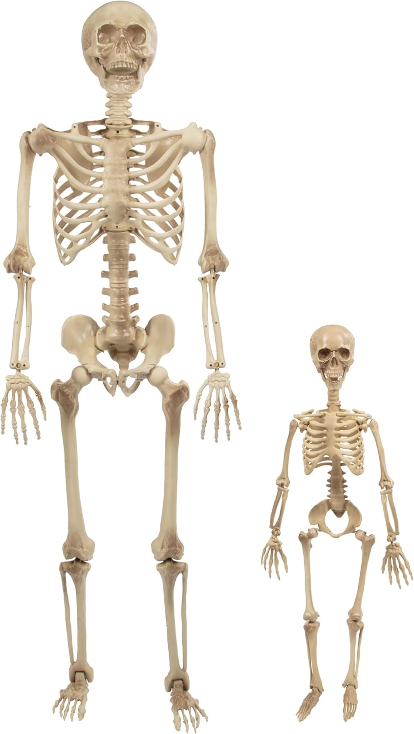 Skeleton Halloween Decoration Value 2 Pack- Adult 5' 4" & Child 2 ...