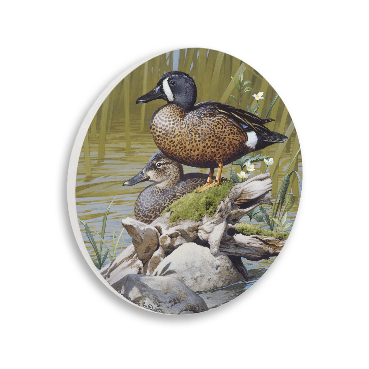 Stupell Industries Blue Winged Teal Duck Circular Wall Plaque Design by ...