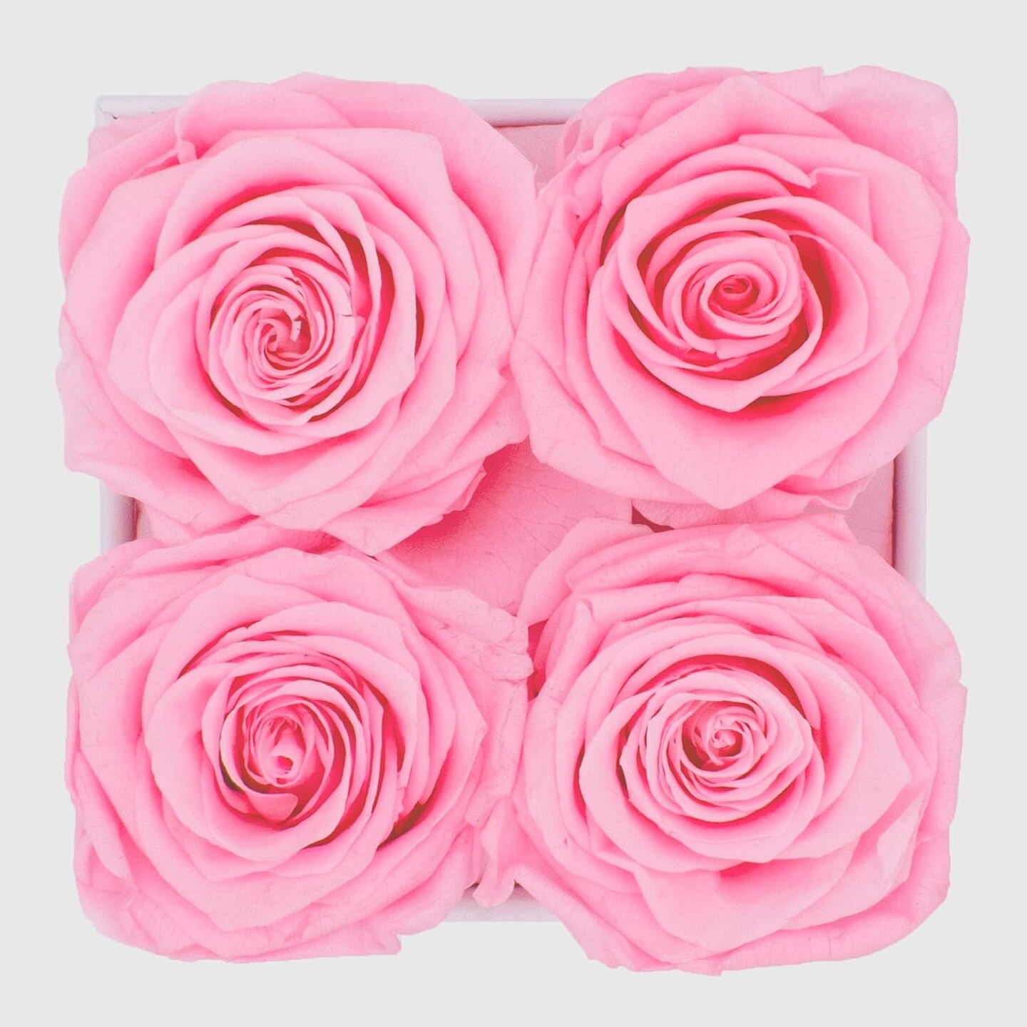 Real Long Lasting Roses for Years (Pink, White Box, 4 Roses) | Michaels