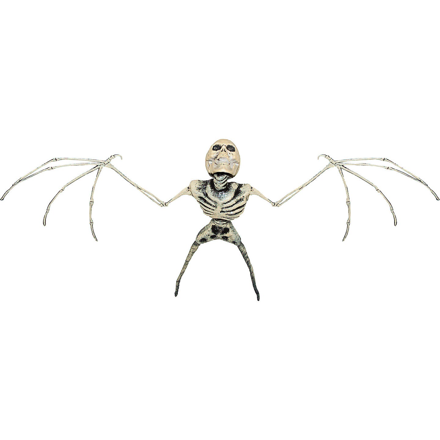 Bat Skeleton with Realistic Detailing | Michaels
