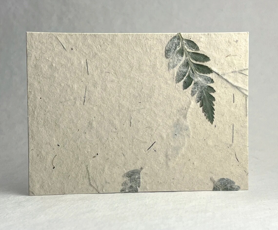 Wildflower Seed Paper Panel Cards - Embedded with Seeds Petals - 3.5" x ...