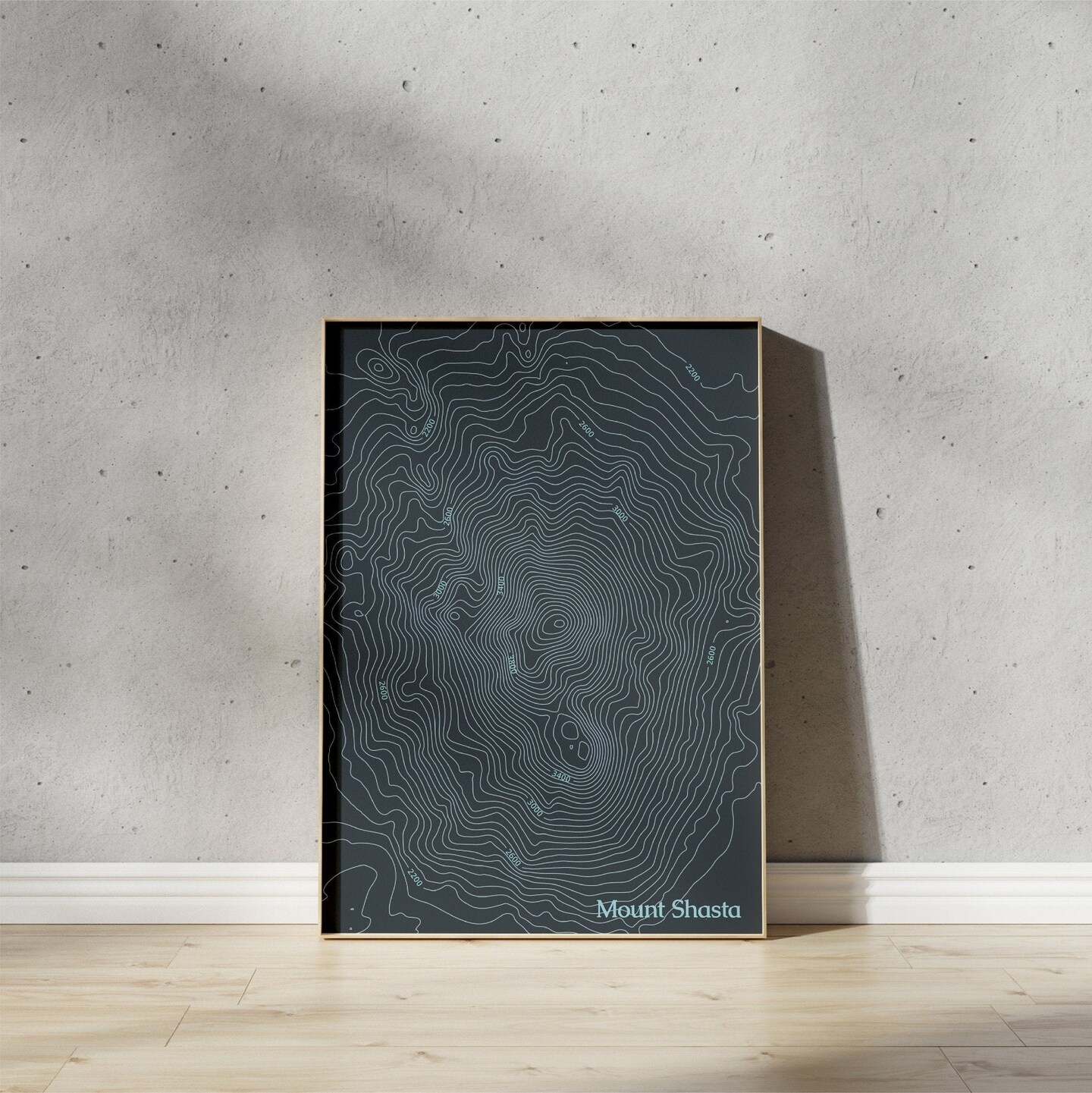 Mount Shasta Topographic Map Wall Art Kit | Michaels