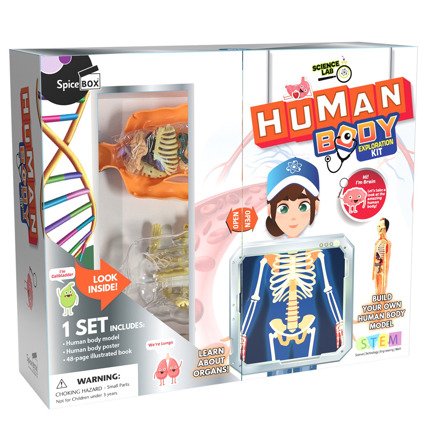 SpiceBox Science Lab: Human Body Kit - Unveil the Marvels Within You ...