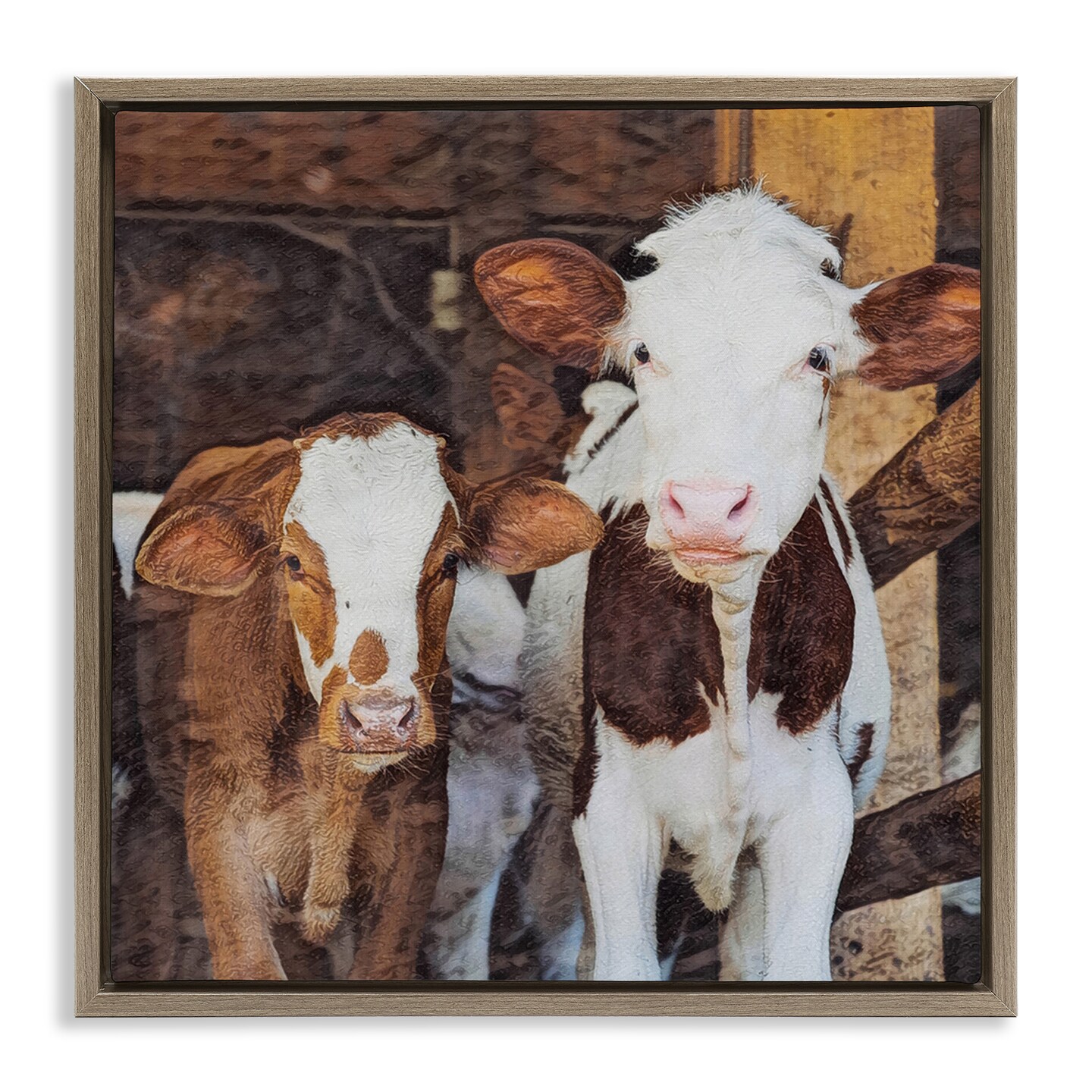 Stupell Industries Baby Cows on Farm Framed Floater Canvas Wall Art ...