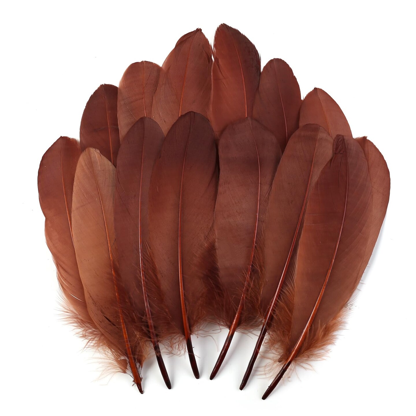 THARAHT 120pcs Coffee Goose Feathers Natural Bulk 6-8 inch 15-20cm for ...