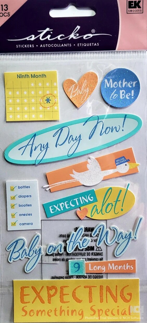 Sticko Expecting Mother Cardstock Stickers | Michaels