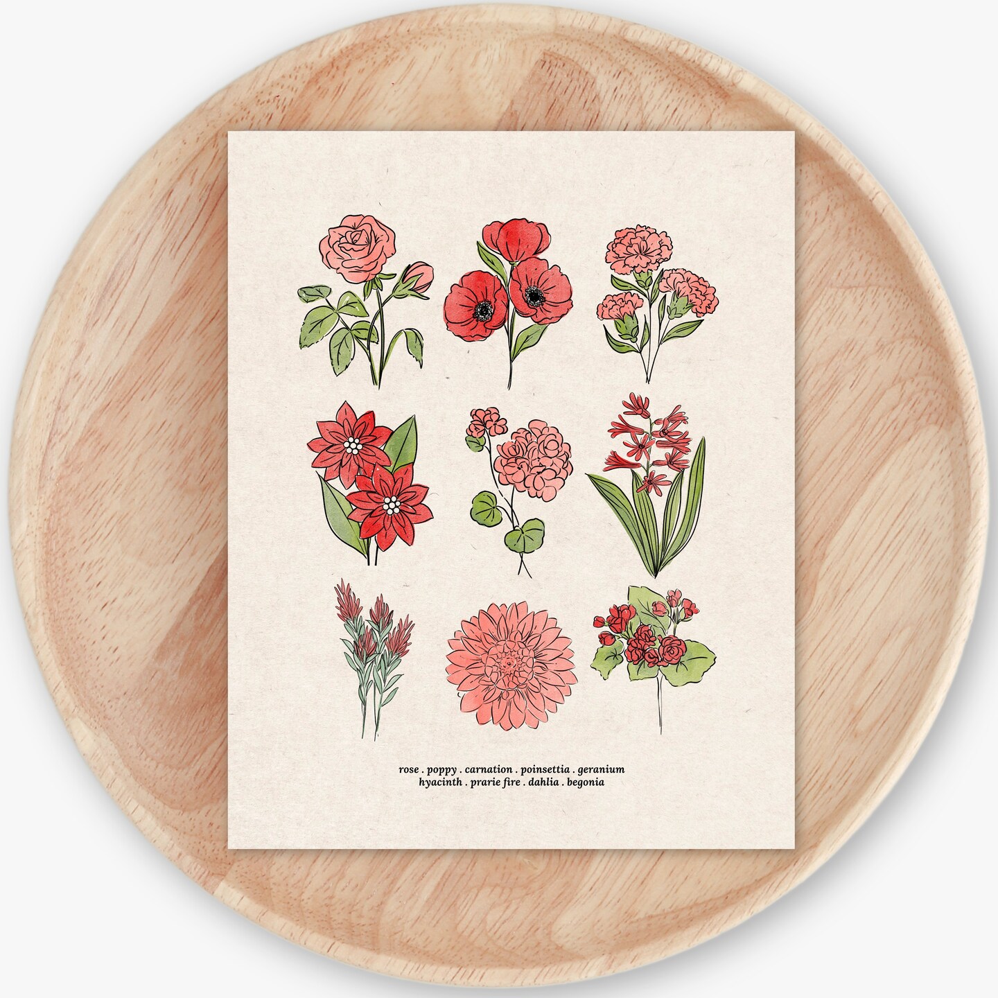 Red Flower Chart Unframed Art Print | Antique Paper Background | Rose ...