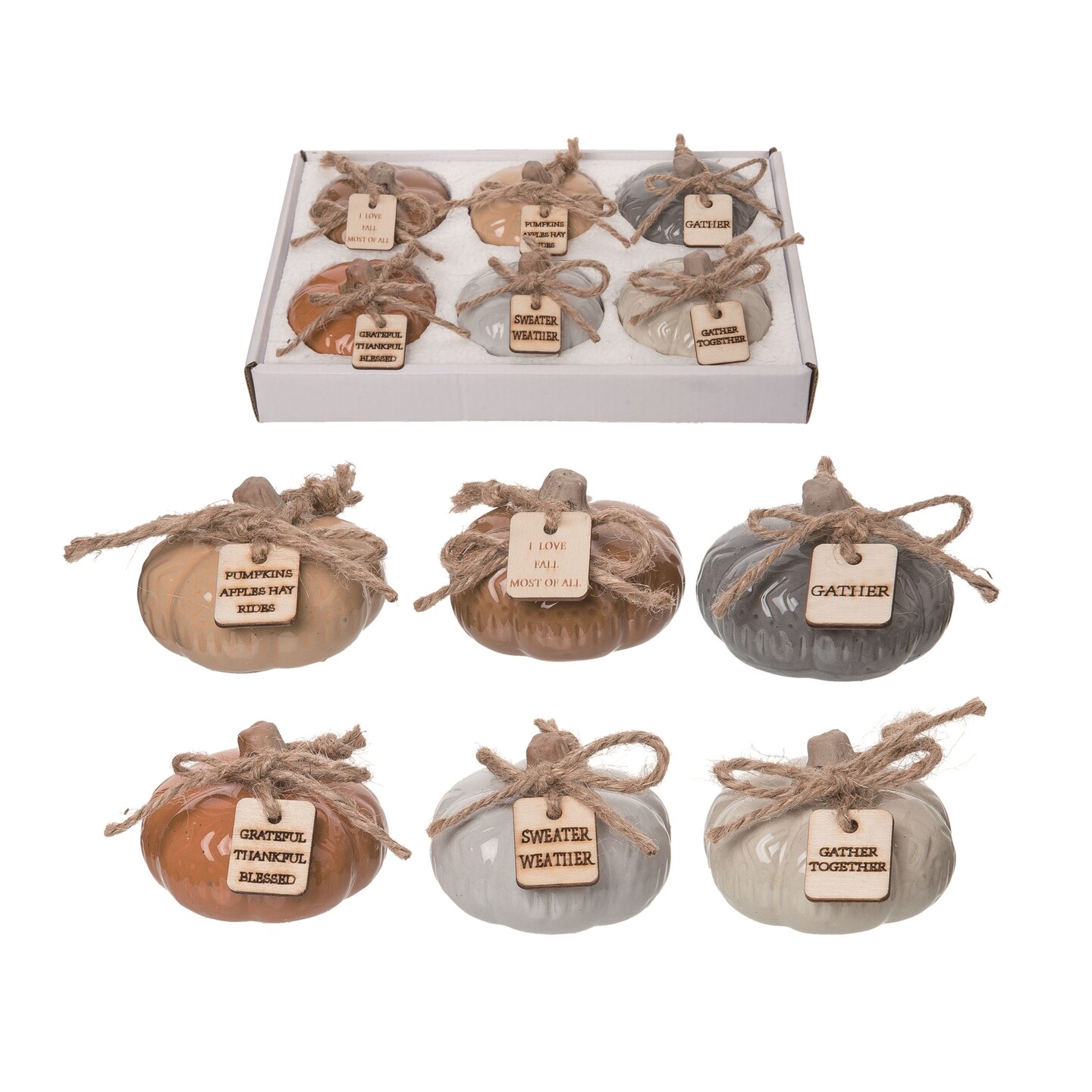 Multicolor Terracotta Harvest Pumpkins Set of 6 for Fall Decor | Michaels
